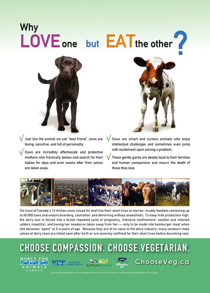 New Skytrain Campaign Will Make Meat Eaters Uncomfortable - 604 Now