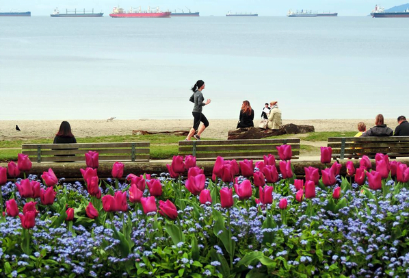 PHOTOS: Vancouver Instagrammers Capture Early April Flowers - 604 Now