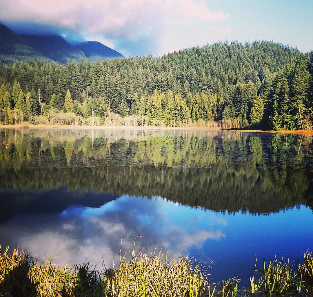 Minnekhada Regional Park: Coquitlam’s Hidden Gem - 604 Now