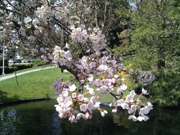 8 Things You Can Only Do In New Westminster - 604 Now