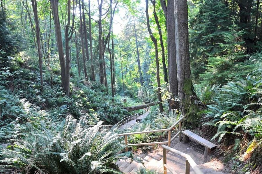 6 Wondrous Places To Go 'Forest Bathing' In British Columbia