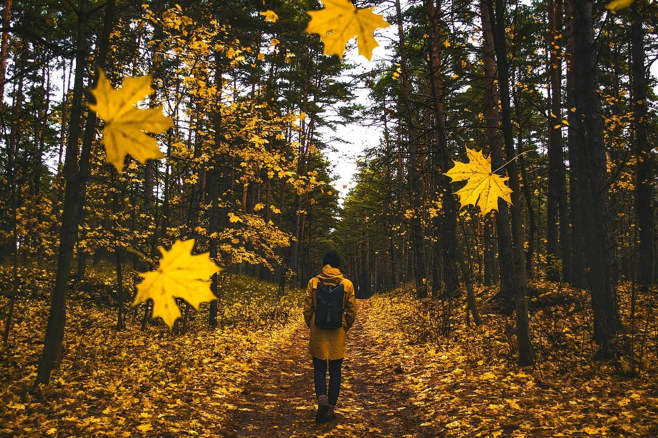 Autumn Adventures: Most Awe-Inspiring Fall Hikes In Metro Vancouver
