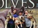 You Can Walk With Wolves Through A Forest On This Magical BC Hike