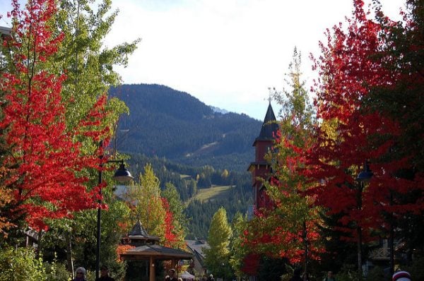 Climb Aboard This Scenic Train Ride To Experience British Columbia's ...