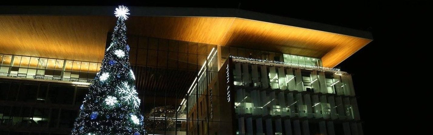 The Surrey Tree Lighting Festival Takes Place This Weekend At City Hall