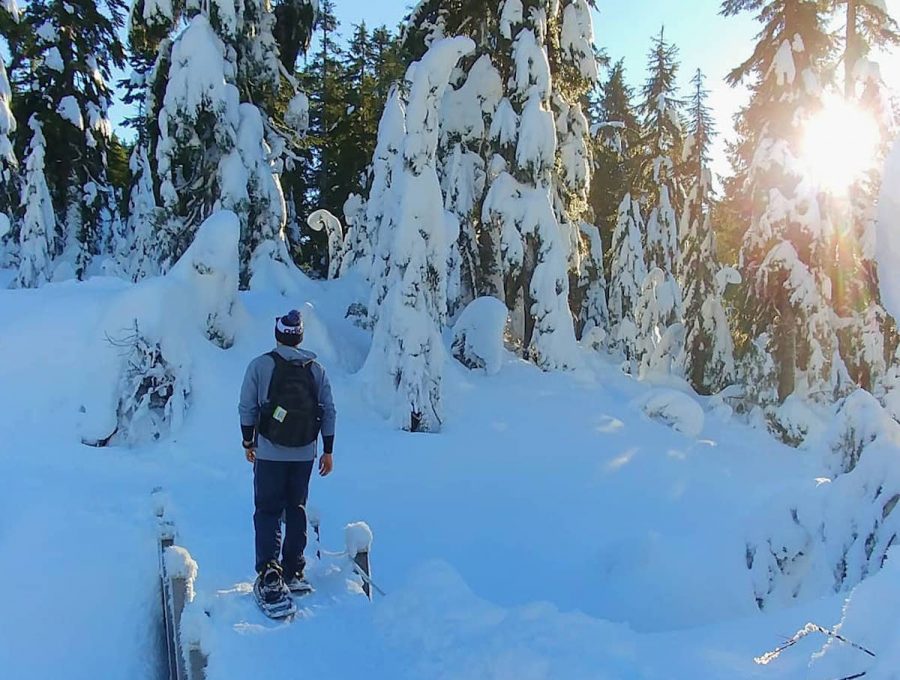 Stunning Snowshoe Trails You Must Explore In British Columbia