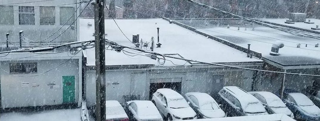 Snow Has Begun Falling Across Vancouver (Photos + Videos)