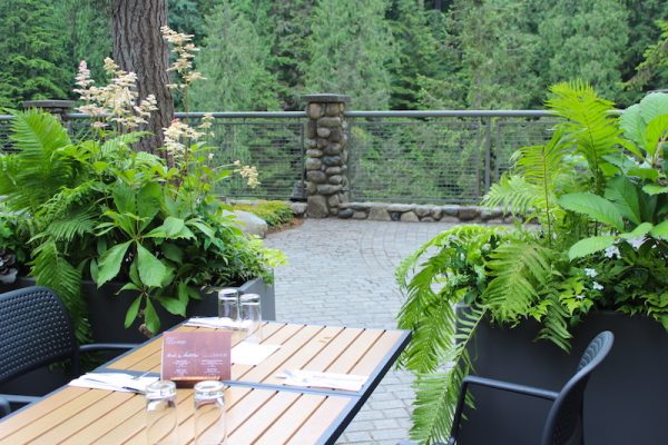 Capilano Suspension Bridge Park Opens New Cliff House Restaurant