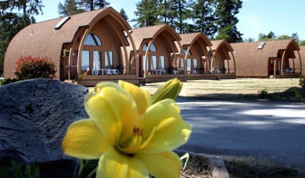Escape To These Whimsical Glamping Domes For Your Next Getaway