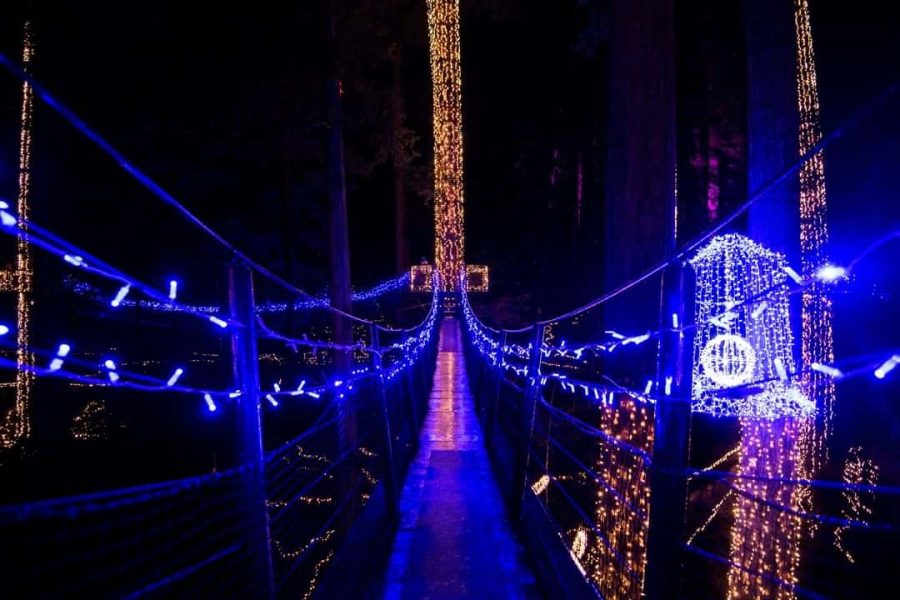 North Vancouver's Canyon Lights Is Now Open (PHOTOS)