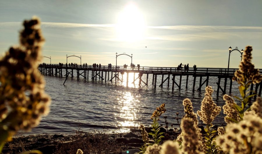 The 5 Best Things To Do In White Rock, Including The White Rock Pier