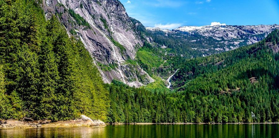 Princess Louisa Inlet Saved From Deforestation Via Crowdfunded $3M