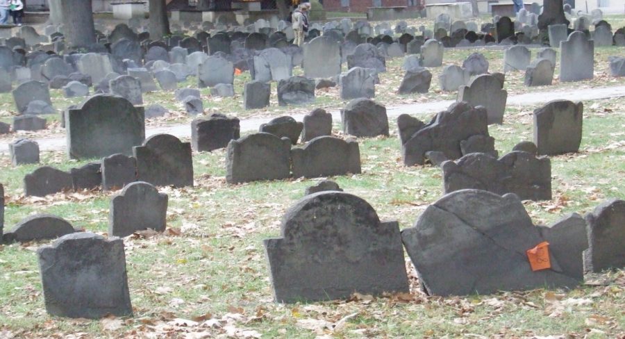 Local Vancouver Cemetery Introduces Environment-Friendly Green Burials