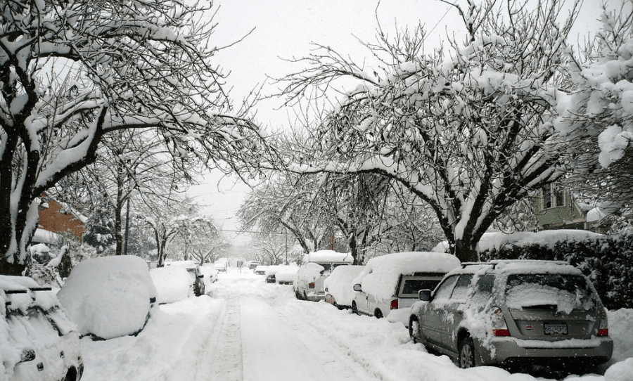 Metro Vancouver To Get Another Blast Of Snow With 10cm In The Forecast