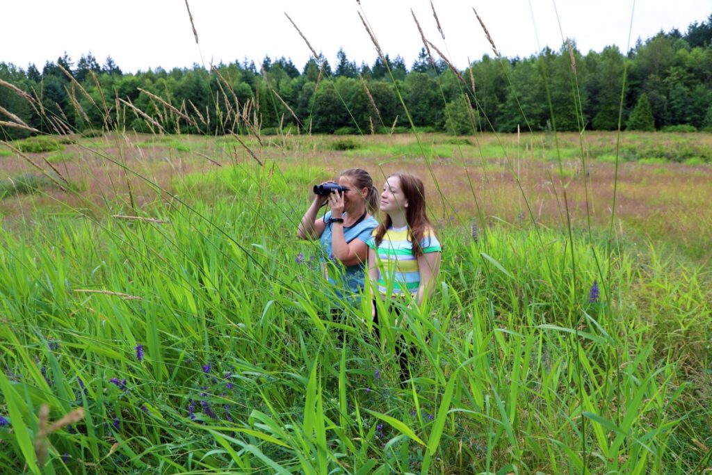 Summer In Surrey: 9 Fun, Free and Low-Cost Things To Do Right Now