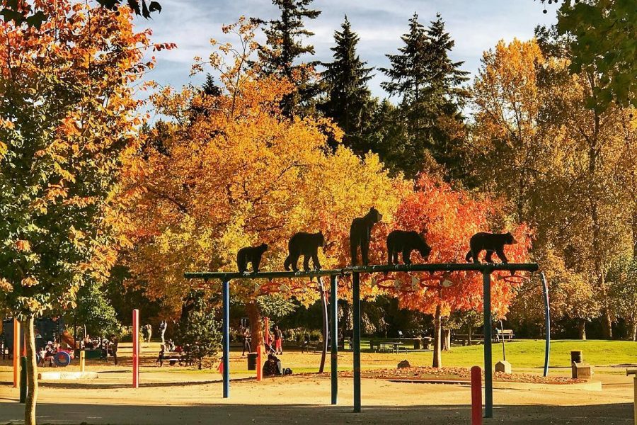 The 8 Most Beautiful Fall Destinations To Visit In Metro Vancouver