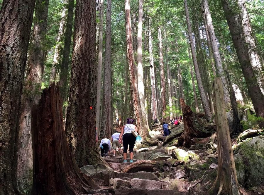 11 Things To Do On Grouse Mountain This Summer