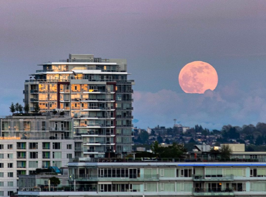 PHOTOS: A Beautiful Pink Supermoon Rose Over Vancouver Last Night