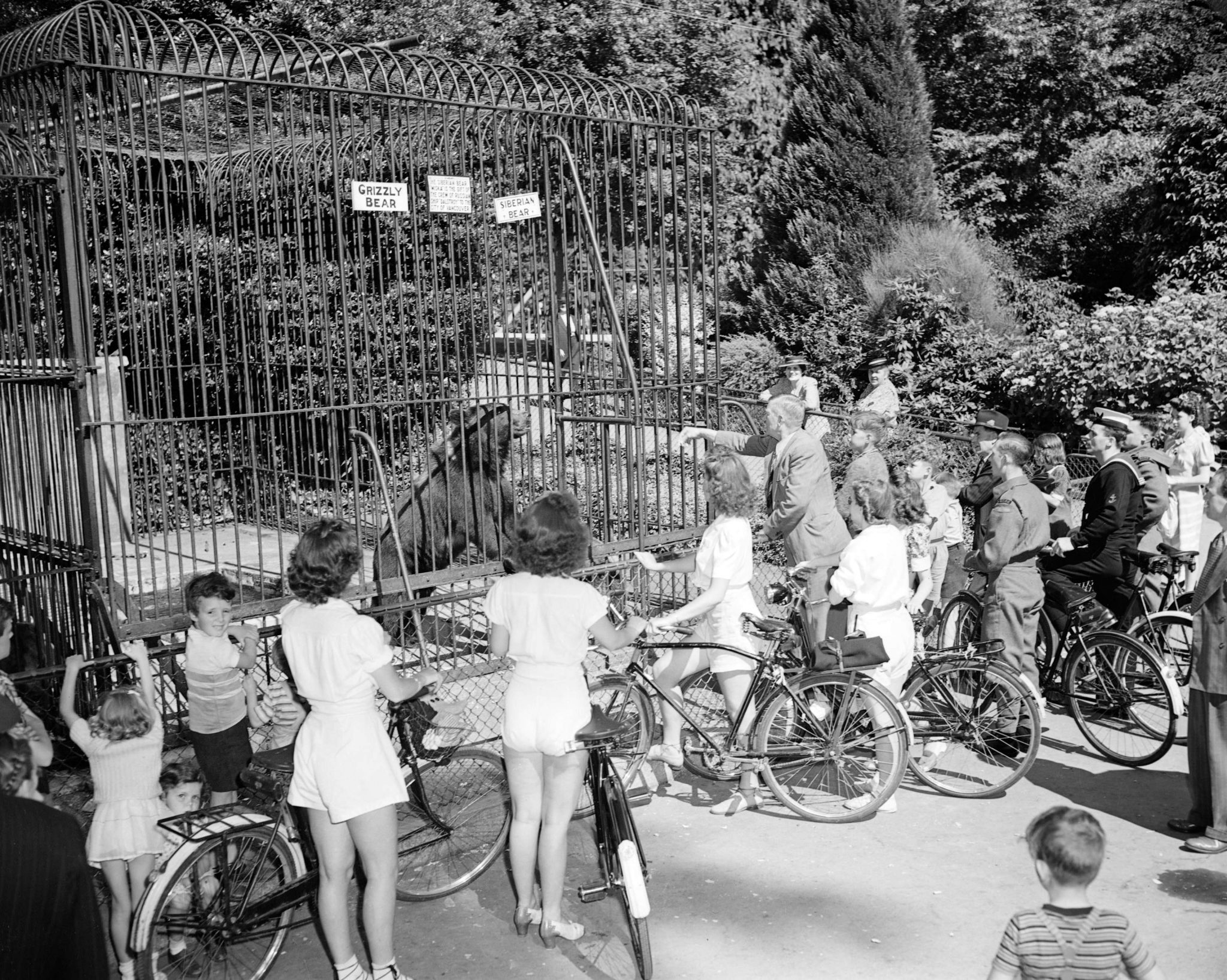Stanley Park Once Had A Zoo And Here's What It Was Like