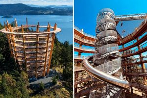 Malahat Skywalk Just Opened and It Looks Fun (PHOTOS)