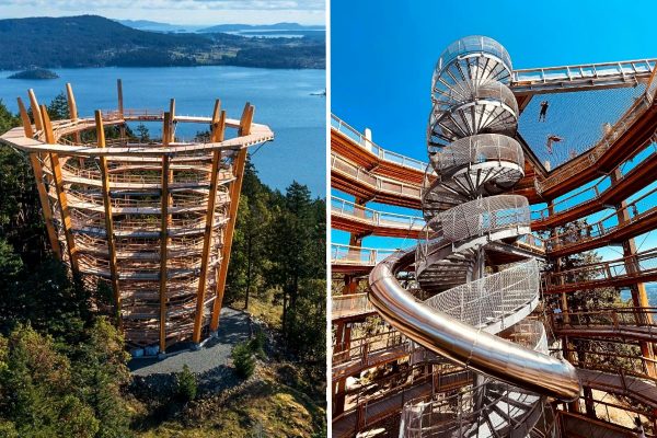 Malahat Skywalk Just Opened and It Looks Fun (PHOTOS)