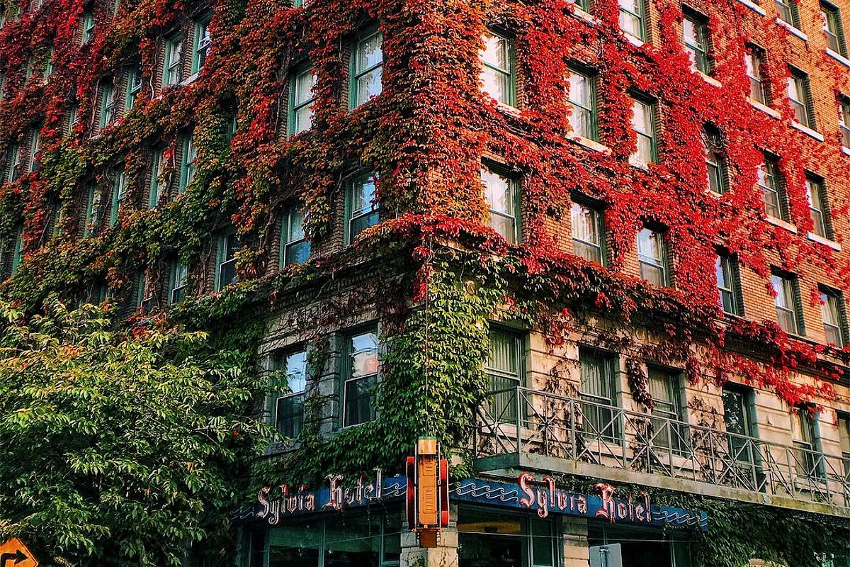 Where To Spot The Most Stunning Fall Foliage In BC