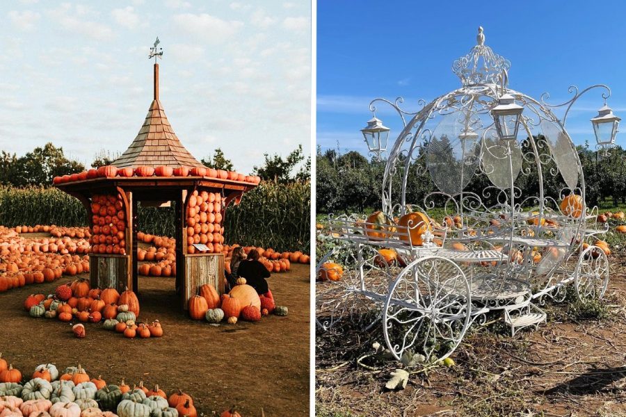 This Local Pumpkin Patch Has An Enchanting 'Pumpkin House'