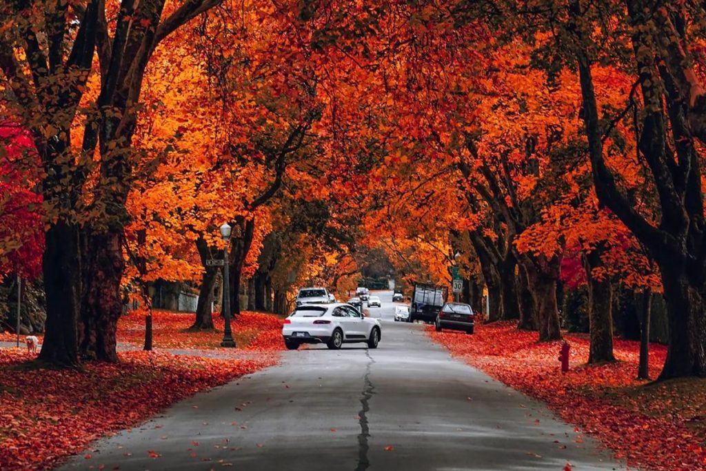 Here's What Vancouver's Fall Months' Weather Will Look Like