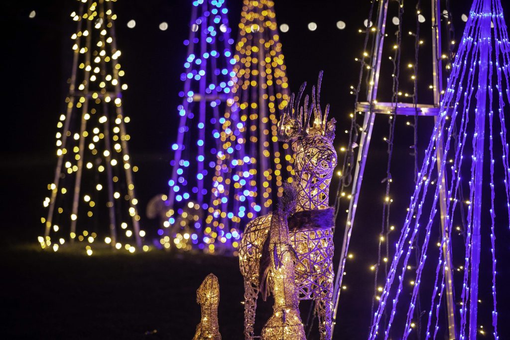 Surrey Tree Lighting Fest: Christmas Market, Food Trucks & Live Music
