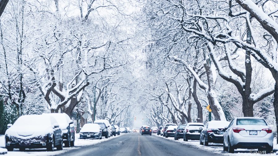 Metro Vancouver Wakes Up To First Snowfall Of The Season (PHOTOS)