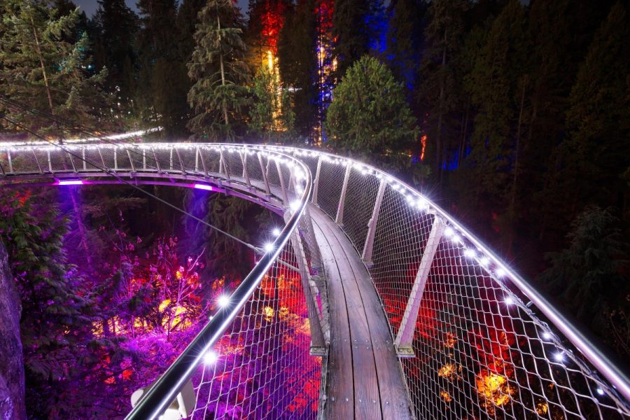 Capilano Suspension Bridge Just Got a Romantic 'Love Lights' Makeover
