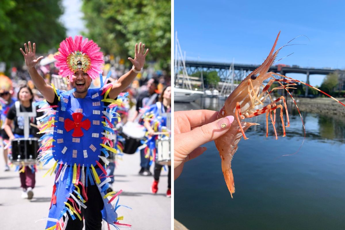 27 Fun Things To Do in Vancouver this Weekend (May 24-26)