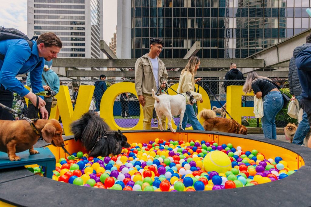 Vancouver's Free Dog-Friendly Bark Park Event Returns this June