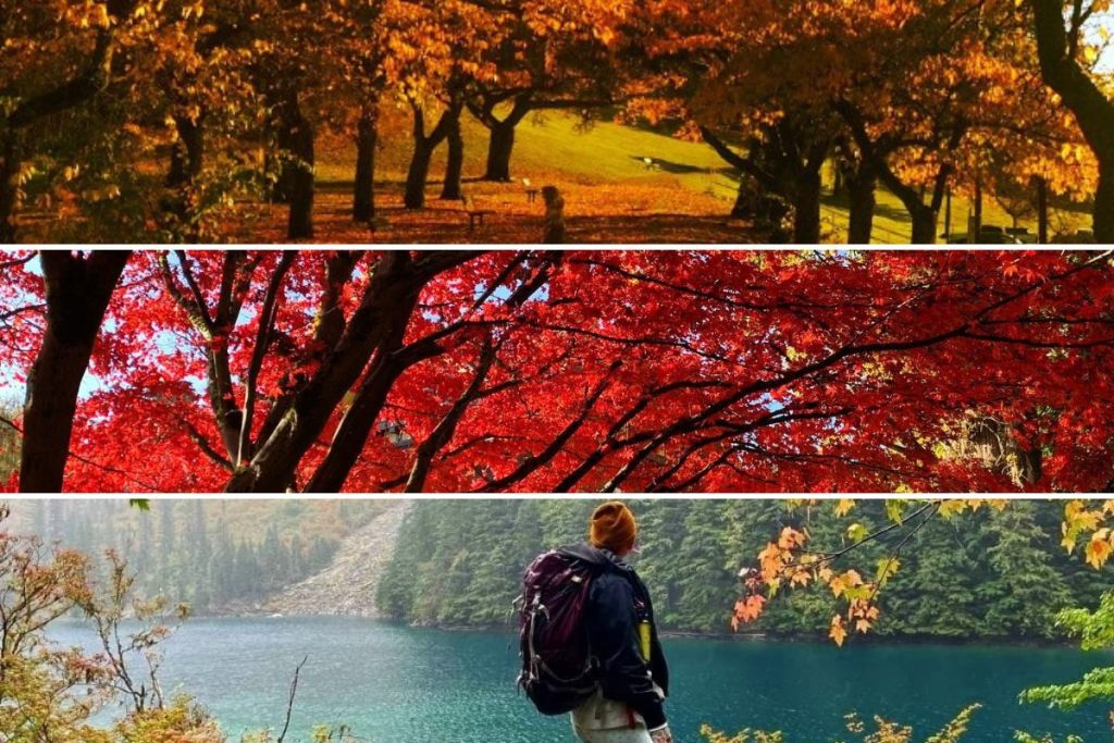Free Things To Do In British Columbia This Fall