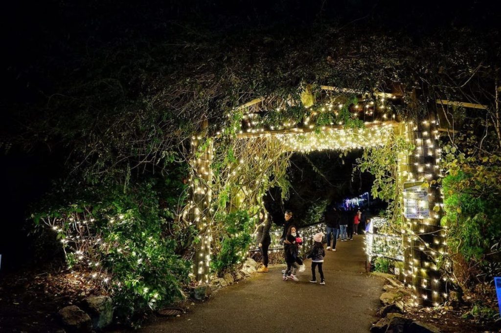 Bear Creek Lights 2025: Surrey’s Magical Light Display Returns This Fall