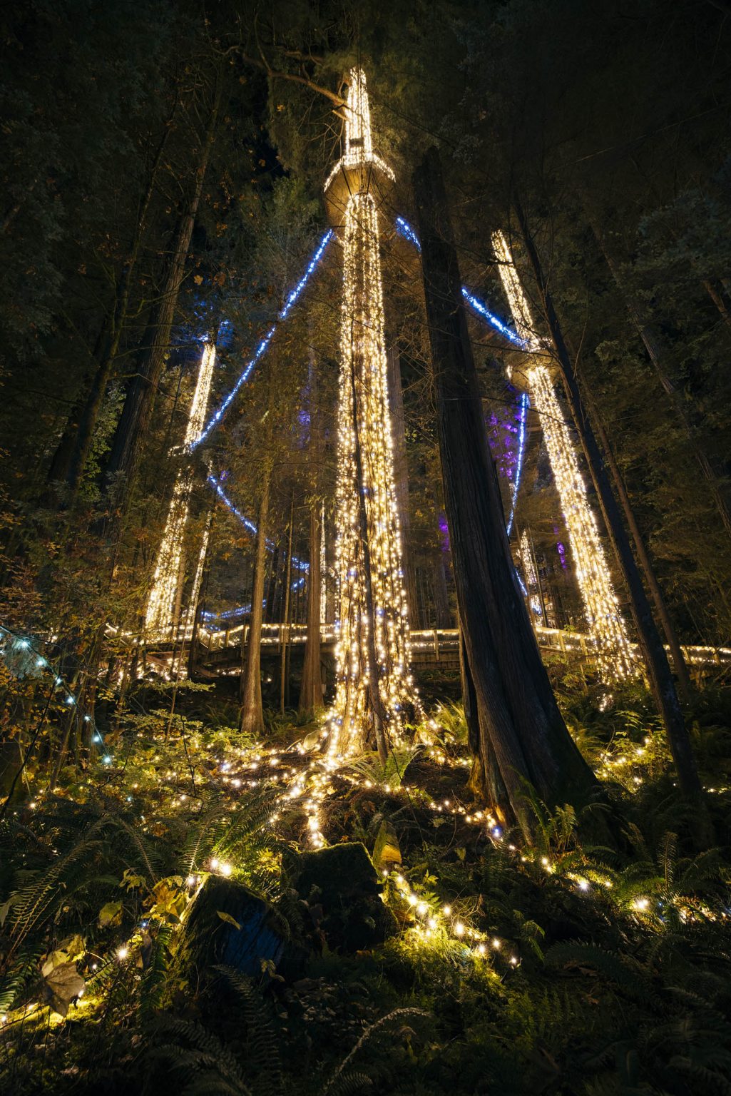 Canyon Lights Returns With A Dazzling Holiday Light Display