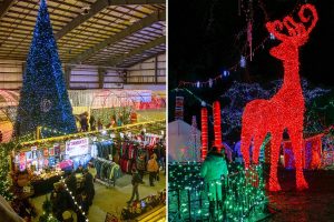 50 Unforgettable Things To Do in Metro Vancouver This December