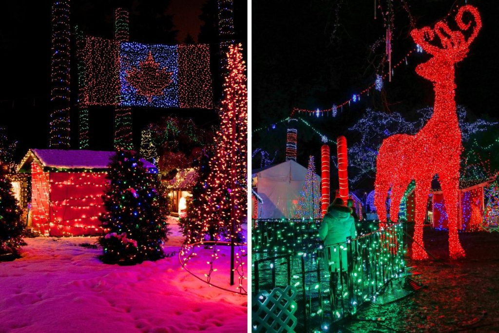 Noel Surrey with the Magic of Bright Nights
