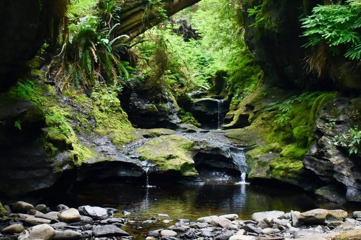One Of B.C.'s Most Popular Coastal Hikes To Reopen In Summer