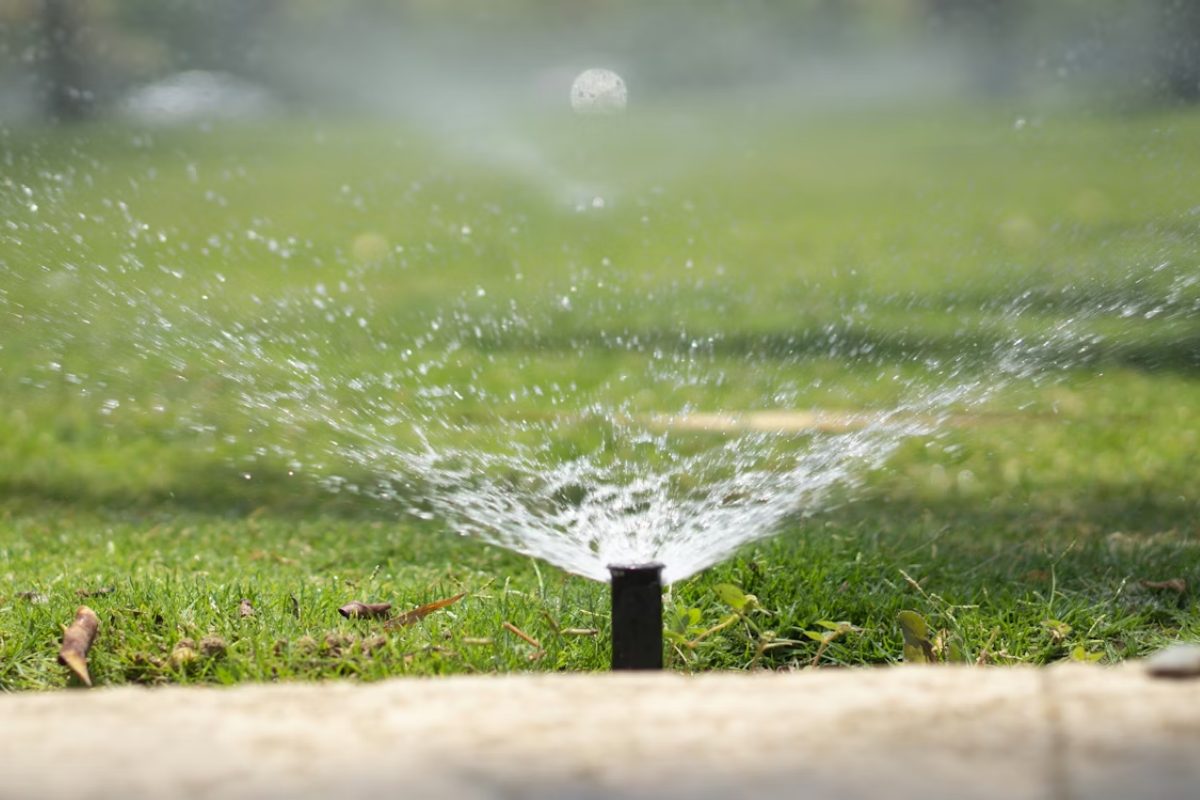 Stage 3 Water Restrictions In Metro Vancouver Begin This June