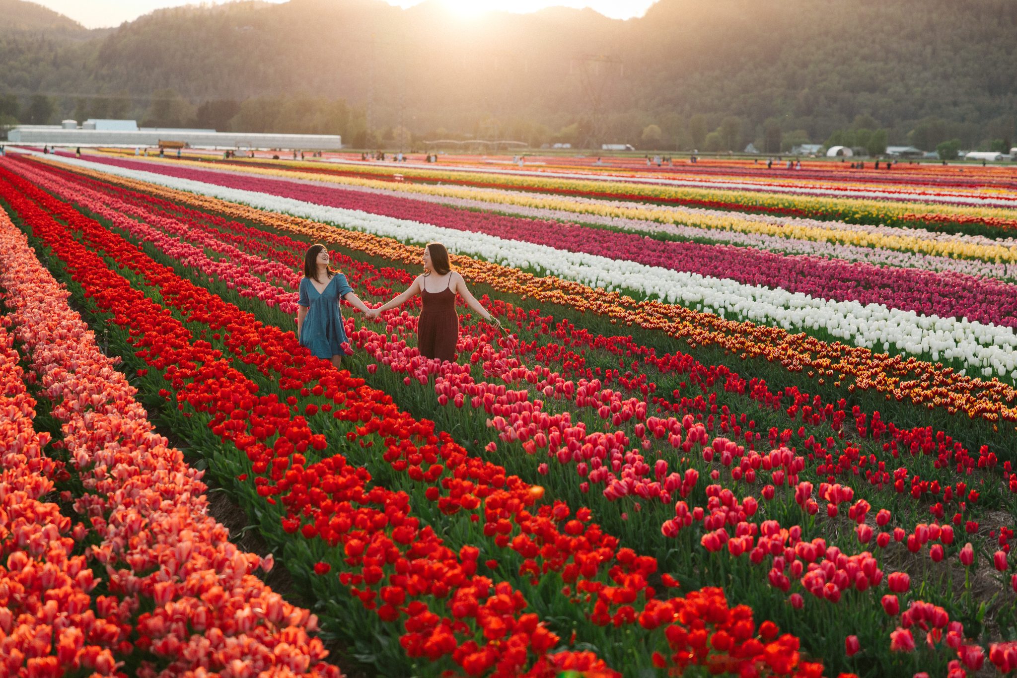 53 Fun Things To Do In Metro Vancouver This May