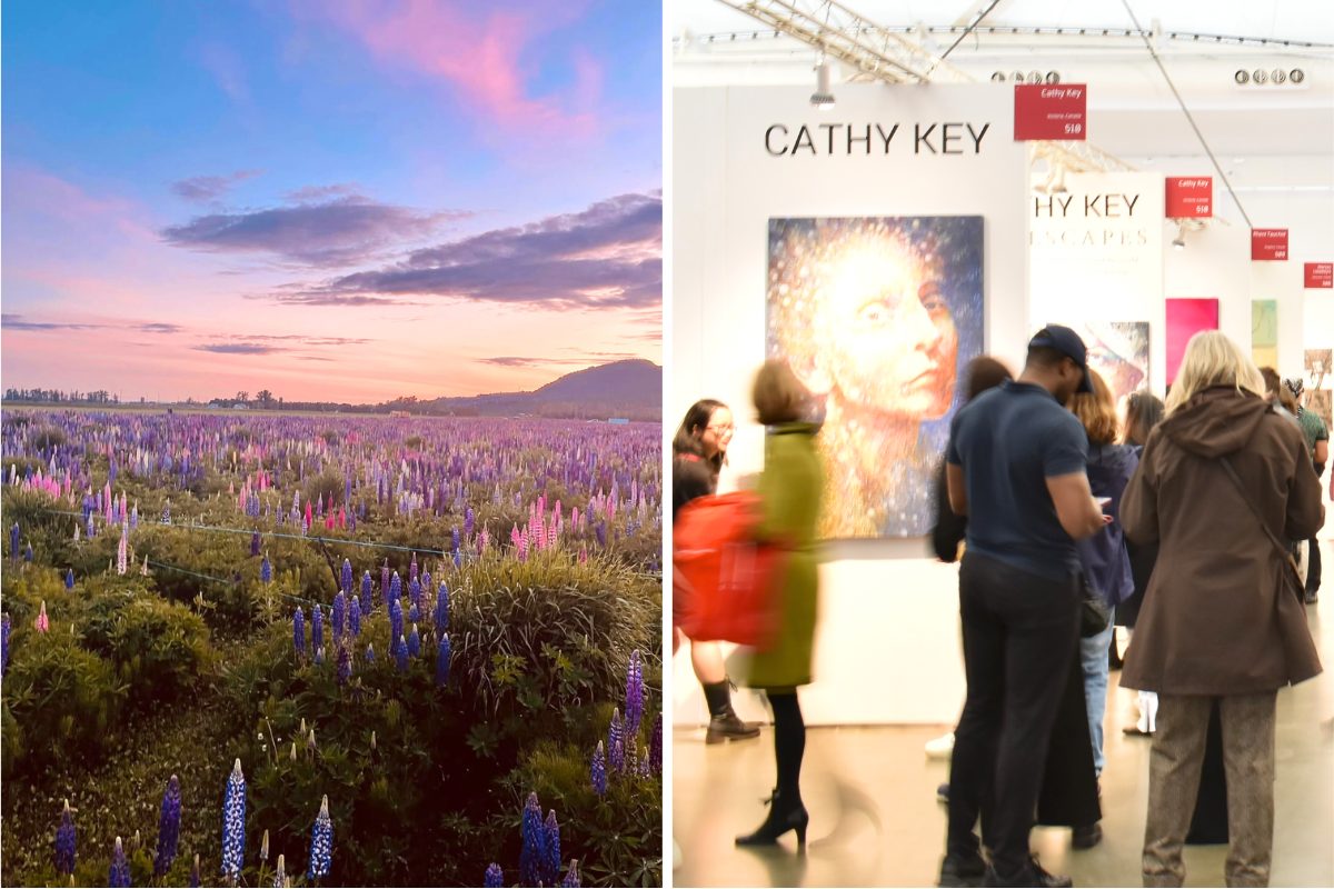 23 Fun Things To Do In Metro Vancouver This Weekend (May 29 - 31)